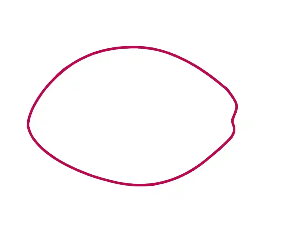 How to Draw a Easy Fish Drawing for Kids and Beginners